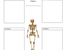 GCSE PE AQA New 2016 muscular & skeletal system by jpridmore - Teaching ...