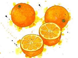 Emma Dibben - analysis and watercolours lesson | Teaching Resources