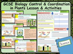 AQA GCSE Biology (Science) Control & Coordination in Plants Lesson ...