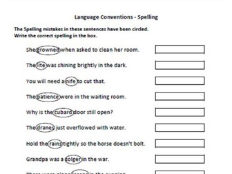 Naplan Language Conventions Practice | Teaching Resources