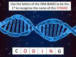 Transcription (OCR A-level Biology) | Teaching Resources