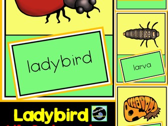 Life Cycles Sorting Cards Bundle | Teaching Resources