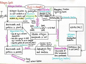 AQA A Level Biology Notes | Teaching Resources