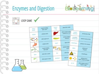 Nutrition and Digestion - 20x Activities and Games (KS3/4) | Teaching ...