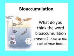 Bioaccumulation | Teaching Resources