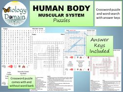 Human Body: Muscular System Crossword and Word Search | Teaching Resources