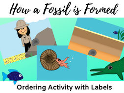 How a Fossil is Formed Printable Activity | Teaching Resources