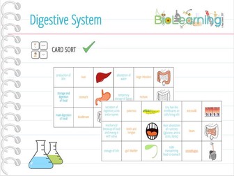 Digestive system - 7x Resources, Activities and Games (KS3/4 ...