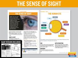 The Sense of Sight | Teaching Resources