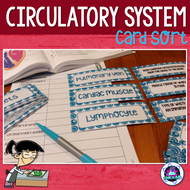 Circulatory System Vocabulary Card Sort | Teaching Resources