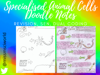 Cell Biology AQA GCSE Doodle Notes | Teaching Resources
