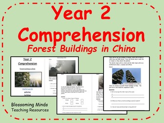 Year 2 Reading Comprehension Pack by blossomingminds - Teaching ...