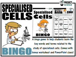 Specialised Cells Bingo | Teaching Resources