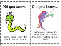Fun Fact Cards: Reptiles | Teaching Resources