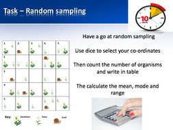 AQA sampling using quadrats | Teaching Resources