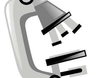 KS3 Introduction To Microscopes - Presentation & Worksheets | Teaching ...