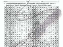 Health and Personal Hygiene Spanish Word Search Worksheet | Teaching ...