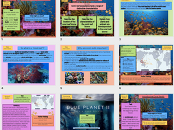 Lesson on the Coral Reef Ecosystem / Biome KS3 Geography | Teaching ...