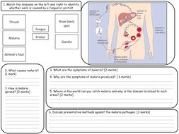 5.8 Diseases caused by fungi and protists NEW GCSE Biology ...