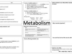 GCSE Biology: Metabolism Worksheet | Teaching Resources