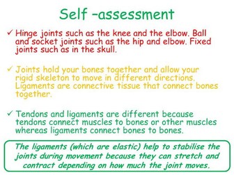 KS3 Body Systems Bundle | Teaching Resources
