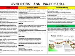 Science Knowledge Organiser - Evolution and Inheritance | Teaching ...