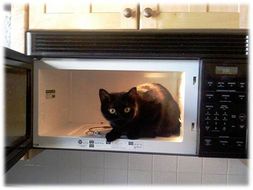 Microwave Standing Waves | Teaching Resources