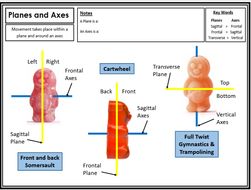 GCSE PE - Planes & Axes - Lesson Plan - Dissecting a Jelly Baby - Quiz ...