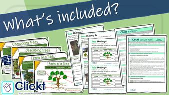 Year 1 Science: Plants: Describe and Compare Trees | Teaching Resources