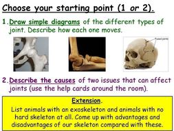 The Skeleton (Muscles and Bones) Year 7 Lesson PowerPoint (KS3 7Cc ...