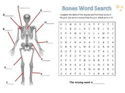 Bones Word Search | Teaching Resources