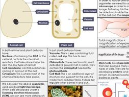 KS4 Knowledge Organizer- Cell Biology | Teaching Resources