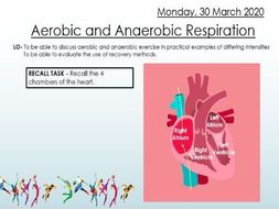 AQA 9 - 1 GCSE PE Aerobic and Anaerobic Respiration Lesson | Teaching ...