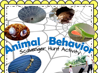 Animal Science Scavenger Hunt - The Bundle | Teaching Resources