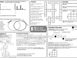 Genes and inheritance GCSE revision overview sheet | Teaching Resources