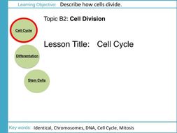 AQA GCSE: B2 Cell Division: L1 Cell Cycle | Teaching Resources