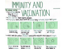 Immunity/Vaccination (Infection & Response) Revision Poster [AQA GCSE ...