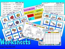 Under The Sea - Animal Classification | Teaching Resources