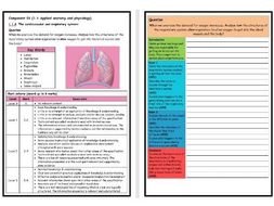 GCSE PE- OCR (9-1) - Structure Strip - Structure of Respiratory System ...