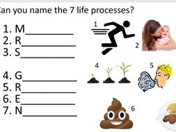 MRS GREN starter activity | Teaching Resources