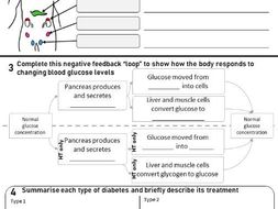 Endocrine system and Blood Glucose - B5 Homeostasis AQA GCSE Revision ...