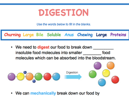 KS3 / KS4 - Digestion and Enzymes - Workbook | Teaching Resources