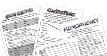 Adjectives, Contractions and Homophones | Teaching Resources