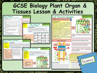 KS4 AQA GCSE Biology (Science) Biological Organisation Bundle | Teaching Resources