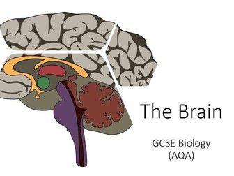 Bioenergetics and Homeostasis (GCSE Biology AQA Topics 4 and 5 ...