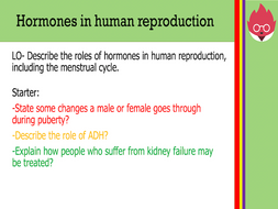 AQA GCSE Biology-Hormones in human reproduction | Teaching Resources