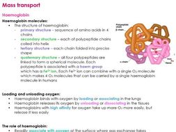 AQA A Level MASS TRANSPORT IN ANIMALS Biology Notes for NEW 7402 SPEC ...