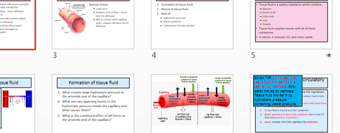 Tissue fluid A level Biology | Teaching Resources