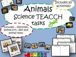 Animals Science TEACCH Tasks | Teaching Resources