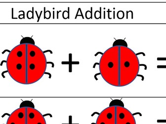 Minibeasts Numeracy | Teaching Resources